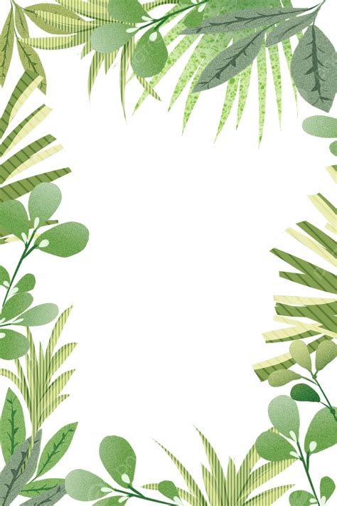 열대 식물 일러스트 테두리 여름 열렬한 식물 Png 일러스트 및 Psd 이미지 무료 다운로드 Pngtree