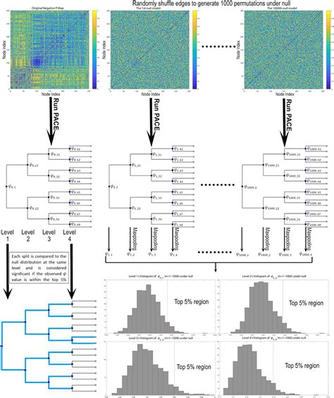 frontiers from default mode network to the basal configuration sex