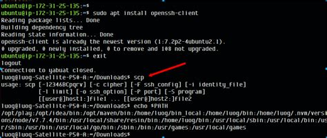 ubuntu `bash scp command not found` while i do have
