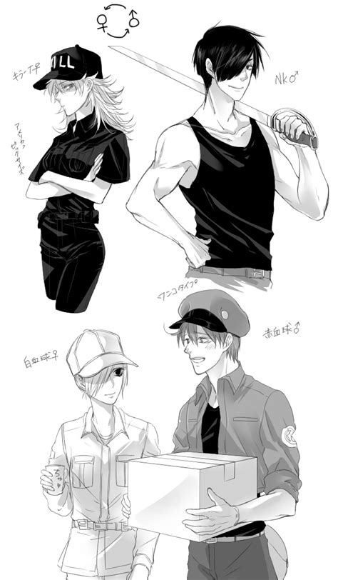 Hataraku Saibou Cells At Work Image By Kuroki Bou 2402710