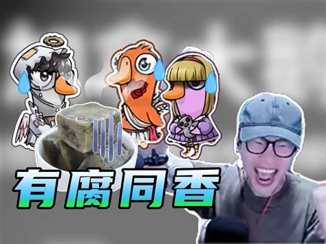 【刘小怂】这就是加拿大鹅的顶级理解玩法！《鹅鸭杀》 刘小怂 刘小怂 哔哩哔哩视频