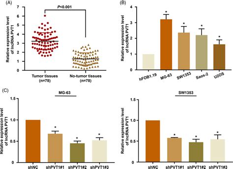 Lncrna Pvt1 Is Upregulated In Osteosarcoma A The Lncrna Pvt1