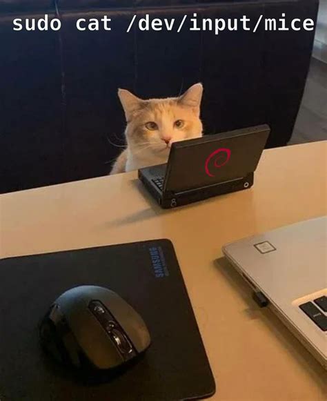 nixcraft 🐧 on twitter caturday meme for linux users p also see