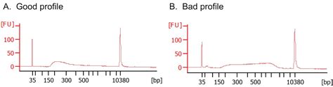 Adapting The Smart Seq2 Protocol For Robust Single Worm Rna Seq —bio