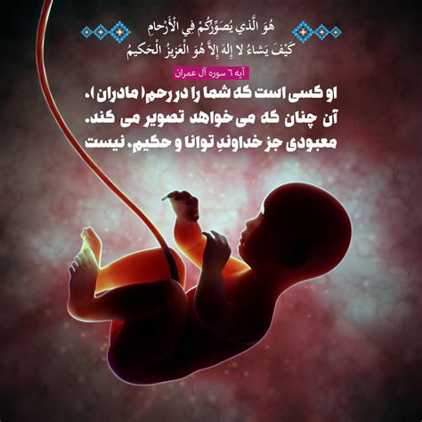 اسـرار خلقـت اعضای زوج بـدن انسـان