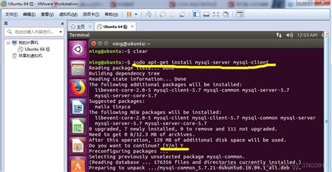 visit mysql database in linux virtual machine in windows