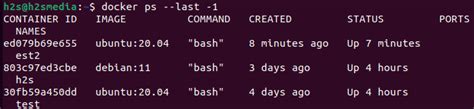 how to list all running and stopped docker containers linux shout