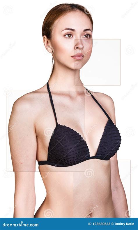 Female Private Part Diagram Female Anatomy A Guide To Your Private