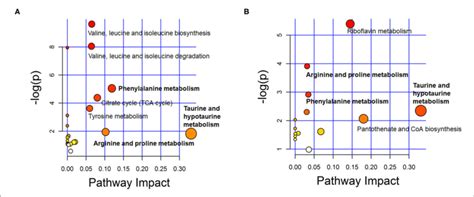 Overview Of Metabolic Pathway Analysis Plot With Metpa In Plasma A