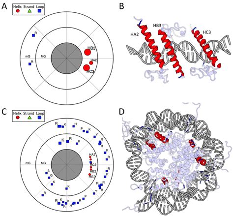 Visualizations For A And B Three Dna Binding Domains Of The Human