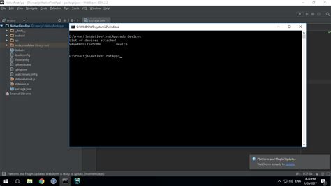 reactjs react native can not map tcp port with device