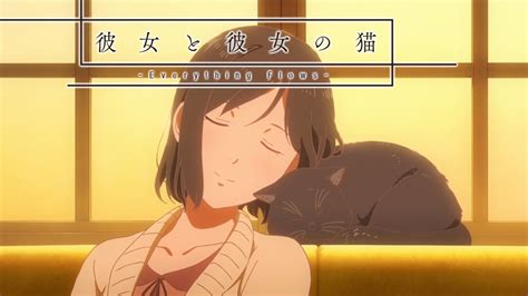 新海誠の自主制作アニメが新たに生まれ変わった「彼女と彼女の猫 Everything Flows 」レンタル配信