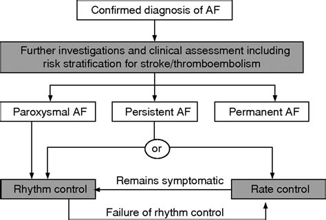 Identification Diagnosis And Assessment Of Atrial Fibrillation Heart