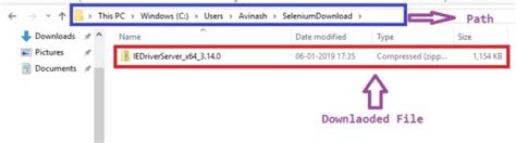 how to download file in selenium with chrome browser inviul