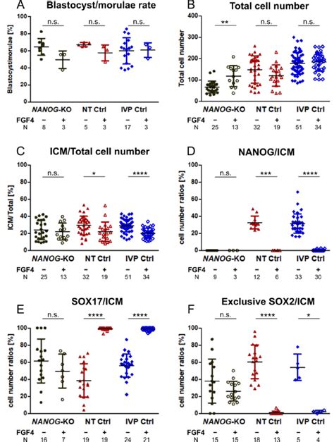 Developmental Rates And Cell Number Ratios Of Nanog Sox17 And