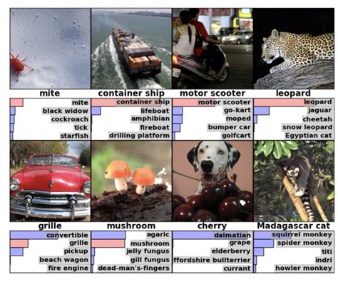 imagenet classification with deep convolutional neural