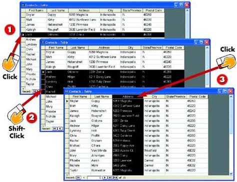selecting records and columns easy microsoft office access 2003