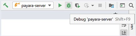 payara server tools in intellij payara community documentation