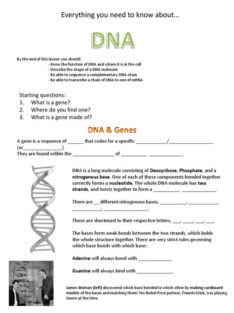 Dna Genes And Chromosomes Worksheet Pdf