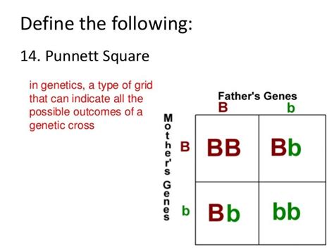 What Is The Purpose Of A Punnett Square Apex