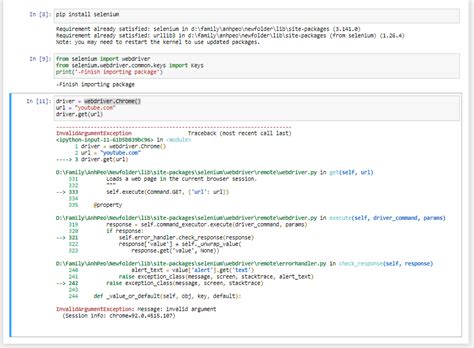 selenium jupyter python 3 invalidargumentexception
