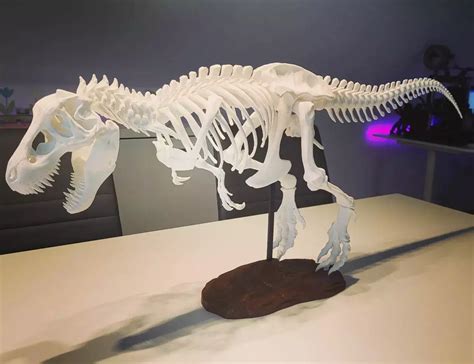3d Printed T Rex Skeleton • Made With Prusa Mk3s・cults