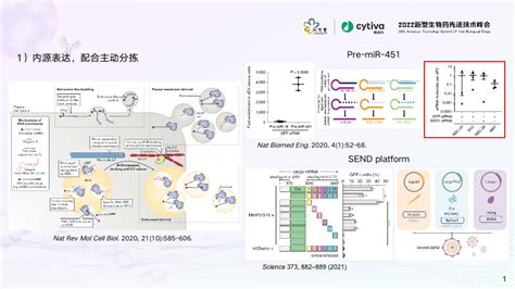 写意报告丨外泌体——核酸药物递送的新载体 细胞 功能 生物