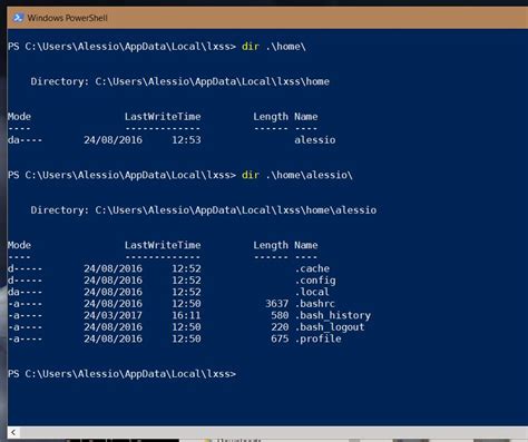 edit and run c code on wsl in windows 10 using clang