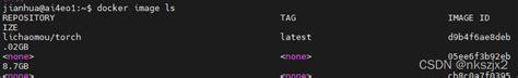 docker pytorch cuda 安装 devel 版本 nkszjx2的博客 csdn博客