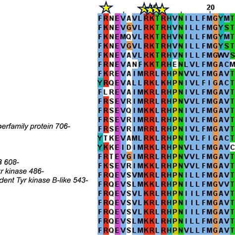 multiple sequence alignment of selected sequences a conserved putative