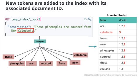 [beginner s guide] understanding mapping with elasticsearch and kibana