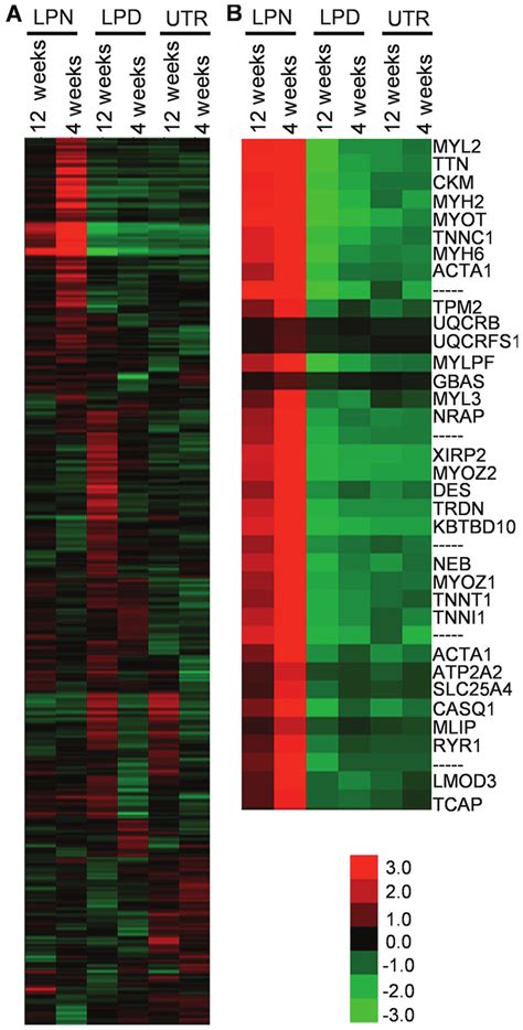 Cluster Heat Maps Of Genes Expression Comparisons A The Complete Map