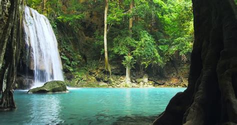 tropical paradise nature background idyllic stock footage video 100