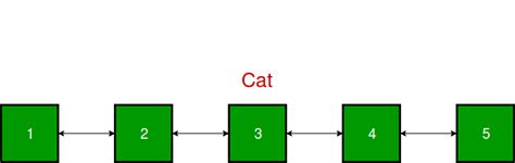puzzle find the cat geeksforgeeks