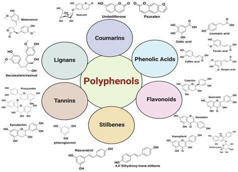 Antioxidants Free Full Text Dietary Polyphenols Review On