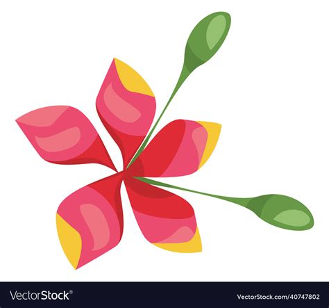 Exotic Hibiscus Flower Royalty Free Vector Image
