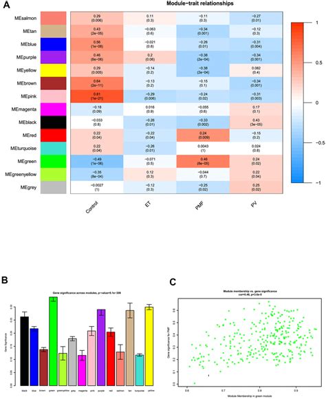 Transcriptome Research Identifies Four Hub Genes Related To Primary