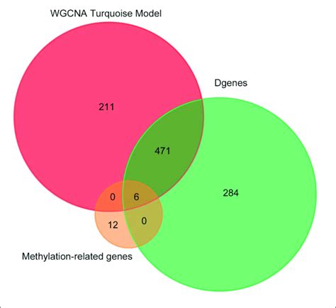 Venn Diagram Of Number Of Genes In Wgcna Turquoise Mode