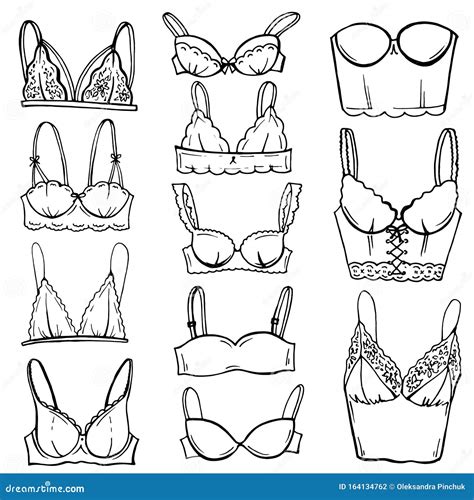 Set Of Lingerie Elements Vector Fashion Different Types Of Bras