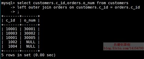 mysql basic query example