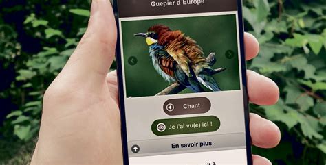application mobile pour identifier les arbres canadian guide