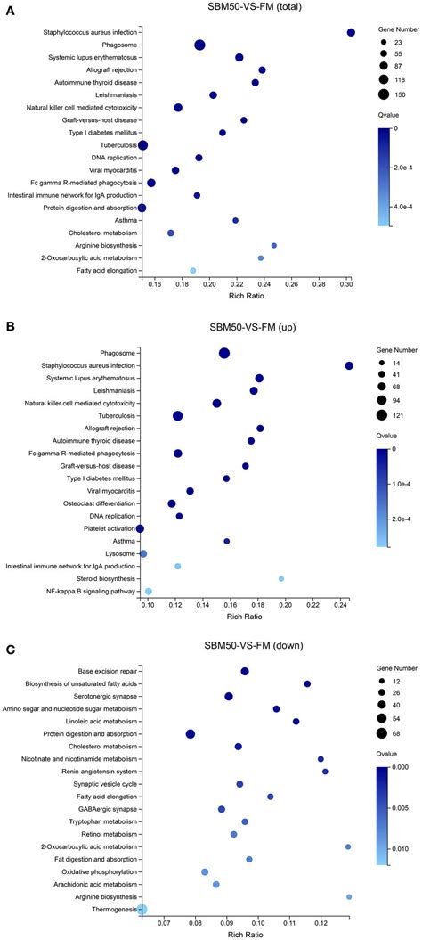 Enrichment Analysis Of The Top 20 Kegg Pathways For Differentially