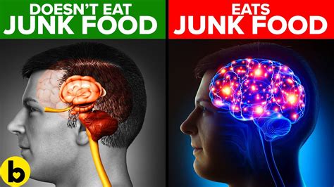 How These 6 Different Foods Affect Your Brain Youtube