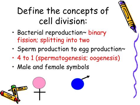 ppt cp biology review powerpoint presentation free