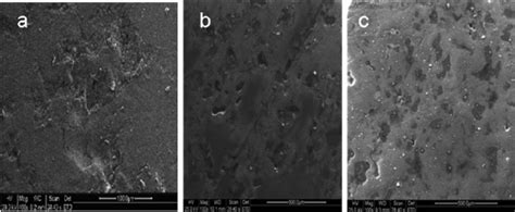 Scanning Electron Micrographs Sem Of The Worn Surface At 1 40 M S And
