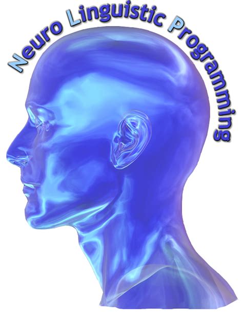 nlp training nlp and top3 principles of neuro linguistic programming