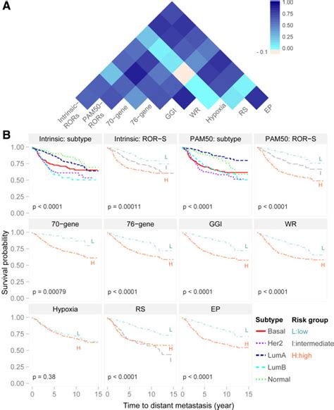 Risk Prediction By Gene Signatures A Heatmap Of The Pairwise