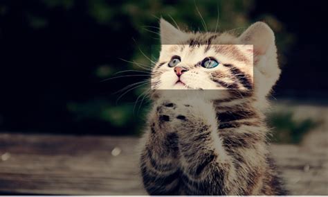 javascript highlight area of image with canvas js