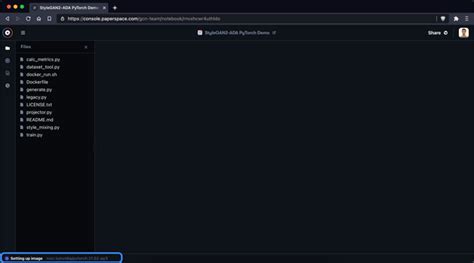 how to run stylegan2 ada pytorch paperspace blog