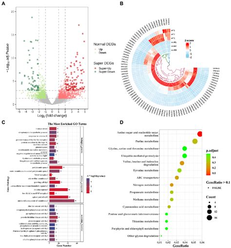 Comparative Gene Ontology Go Analysis Of The Differentially Expressed